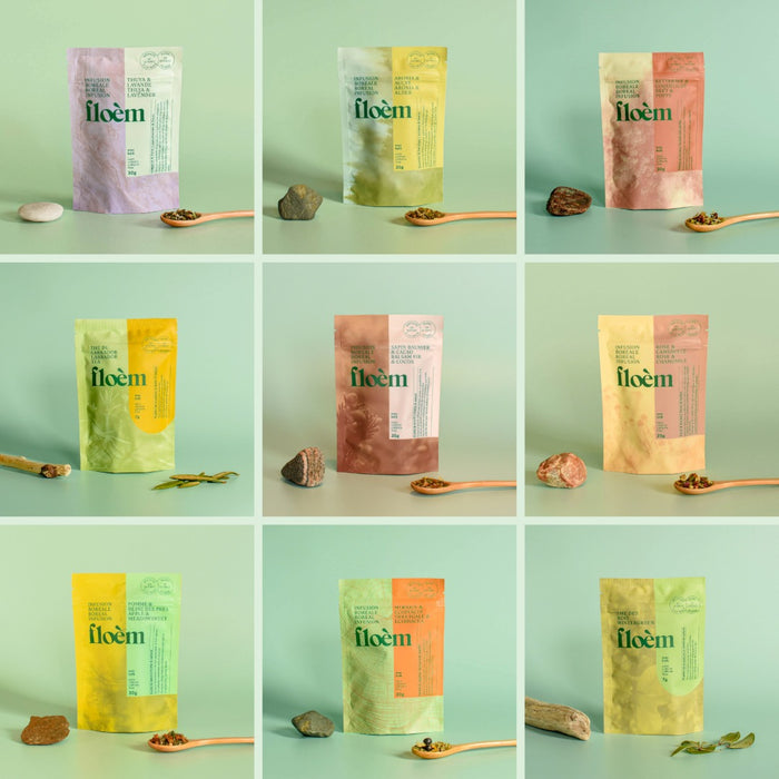 Floèm – Unique herbal teas from the Boreal and Northern Flora of Canada