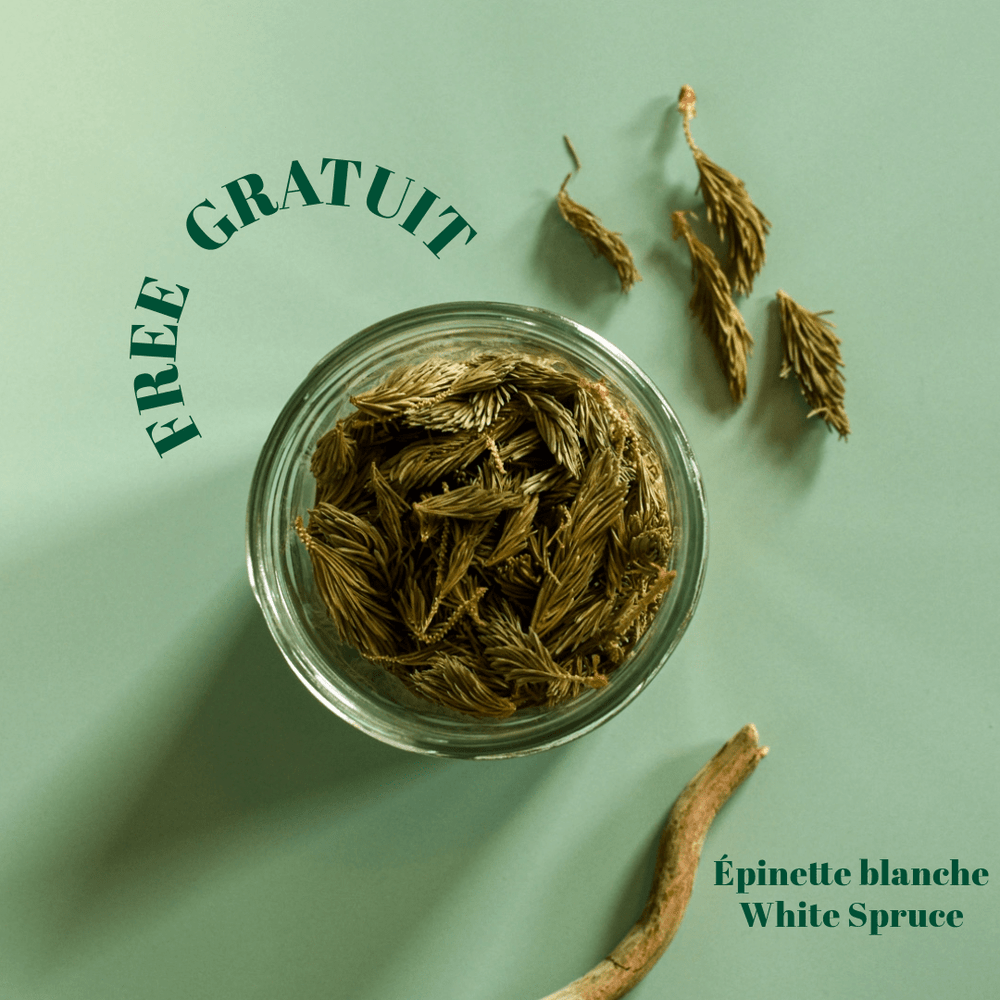 Floèm – Unique herbal teas from the Boreal and Northern Flora of Canada